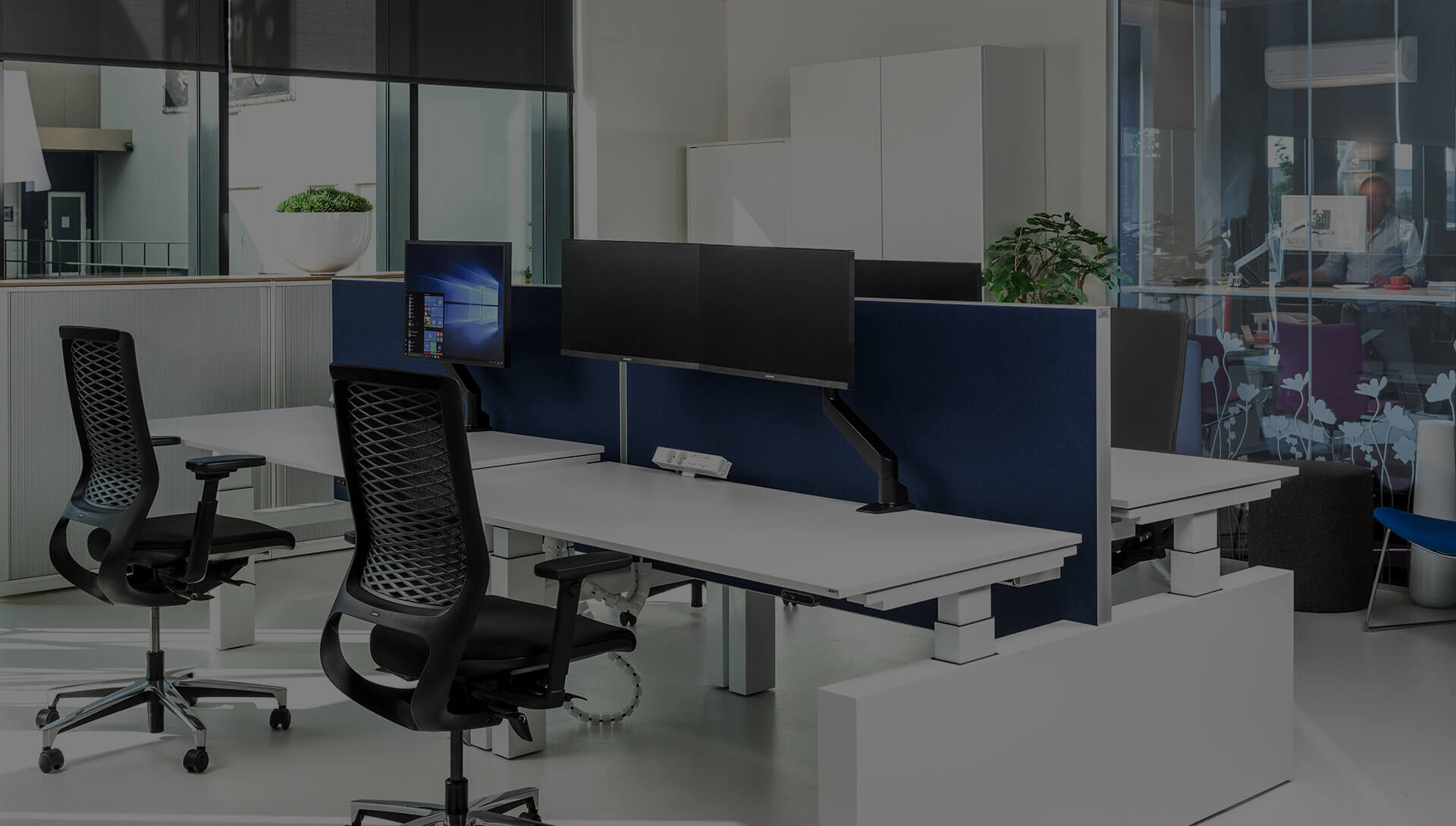 Filex | Fellowes – Unleashing what's next.